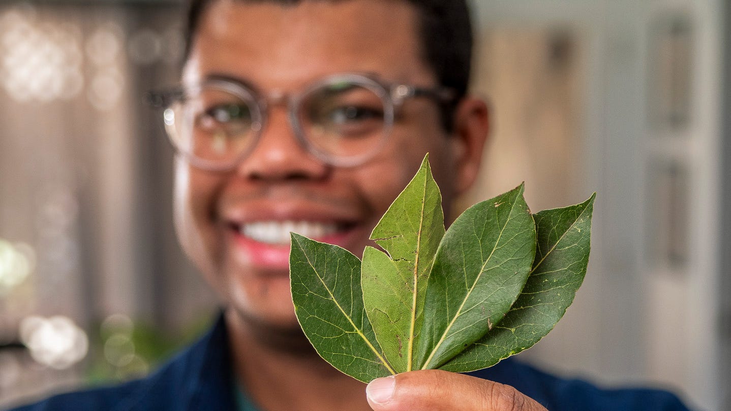 Three types of bay leaves and what they taste like