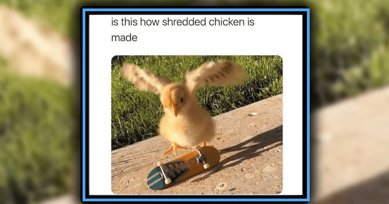 25 Dang Delicious Cute Critter Memes Worthy of Being Your Snack of the Day