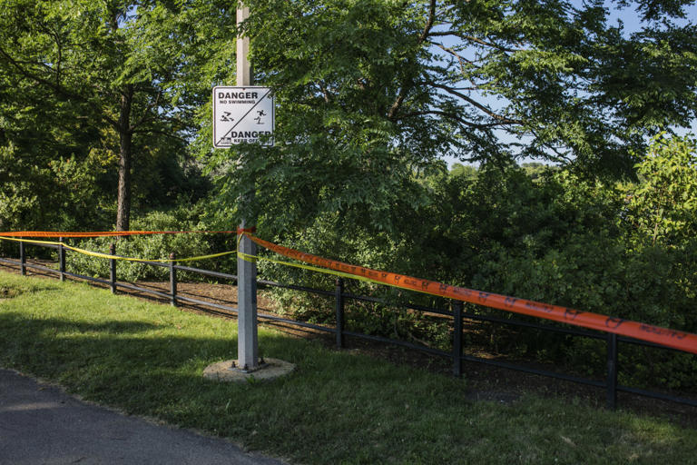 Prayers Pouring In After 'Horrifying' Alligator Attack On U.S. Lake