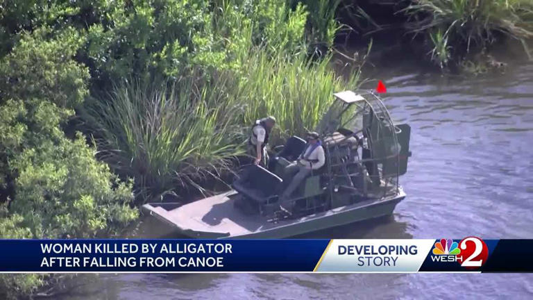 Woman thrown from canoe by thrashing gator, falls into water where she ...