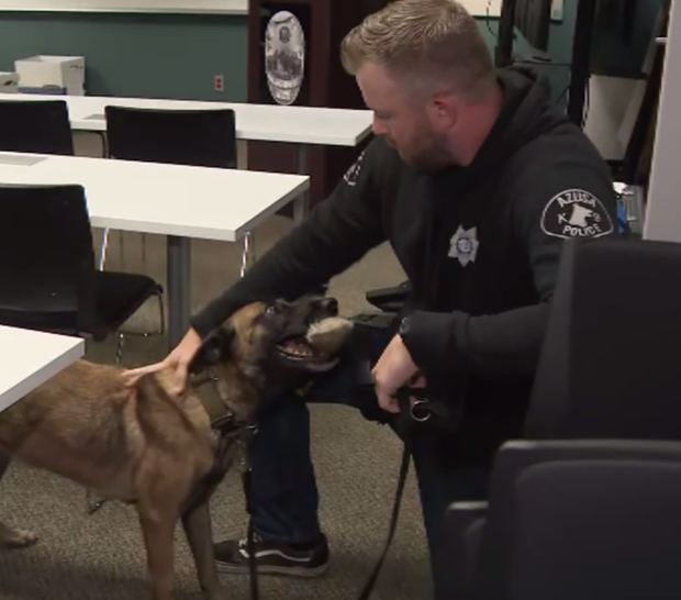 Azusa police salute K9 Hailey as she retires, fighting cancer