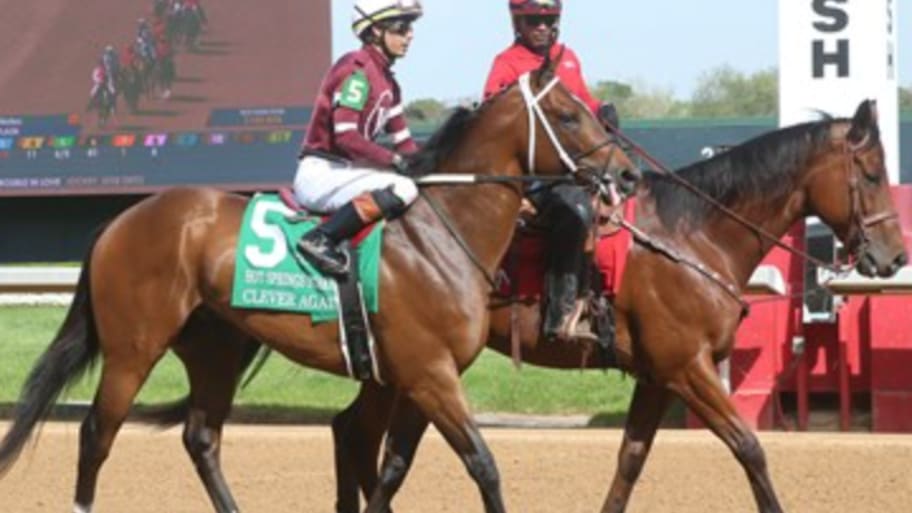 2025 Preakness Stakes Horse Profile: Clever Again