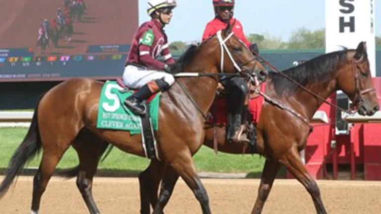 2025 Preakness Stakes Horse Profile: Clever Again