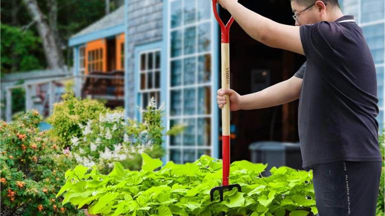 Weekly Planting Guide: Early May Tips And Tricks