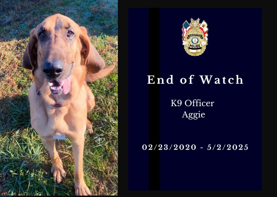 K9 Aggie passes due to cancer: Hampton police