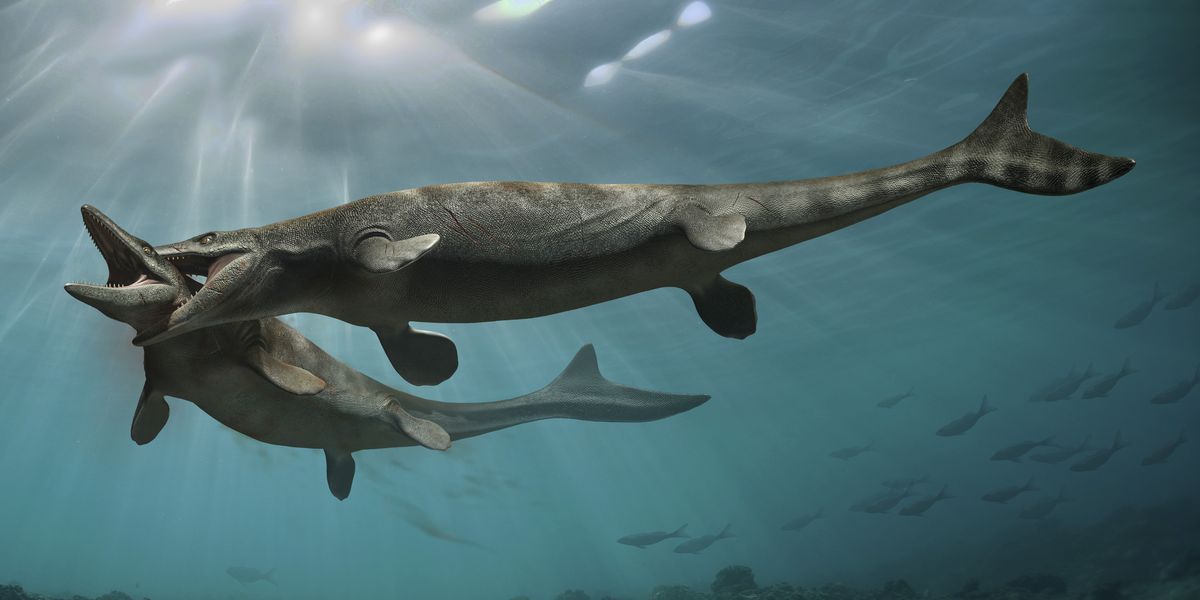 Geologists Found the Fossil of a Stunning 30-Foot Sea Dragon in ...