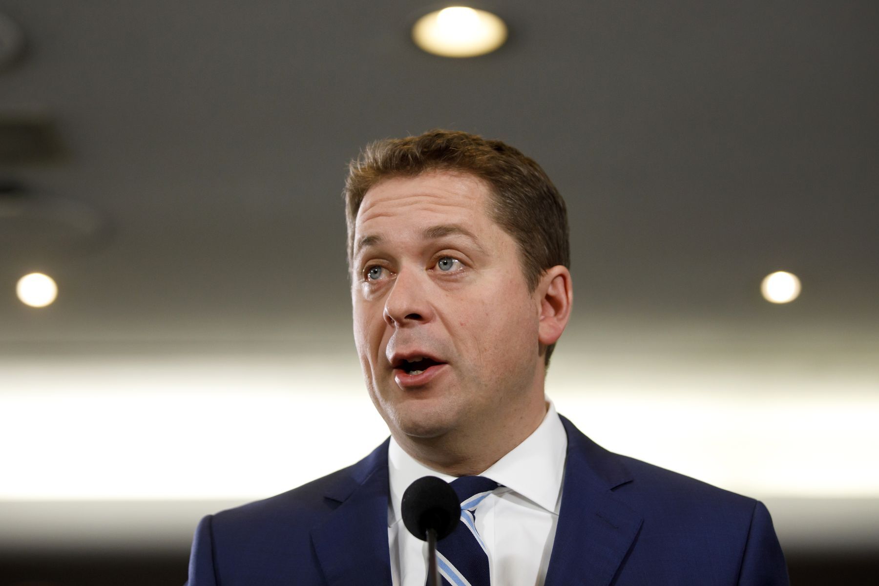 Andrew Scheer Named Interim Conservative Opposition Leader Following ...