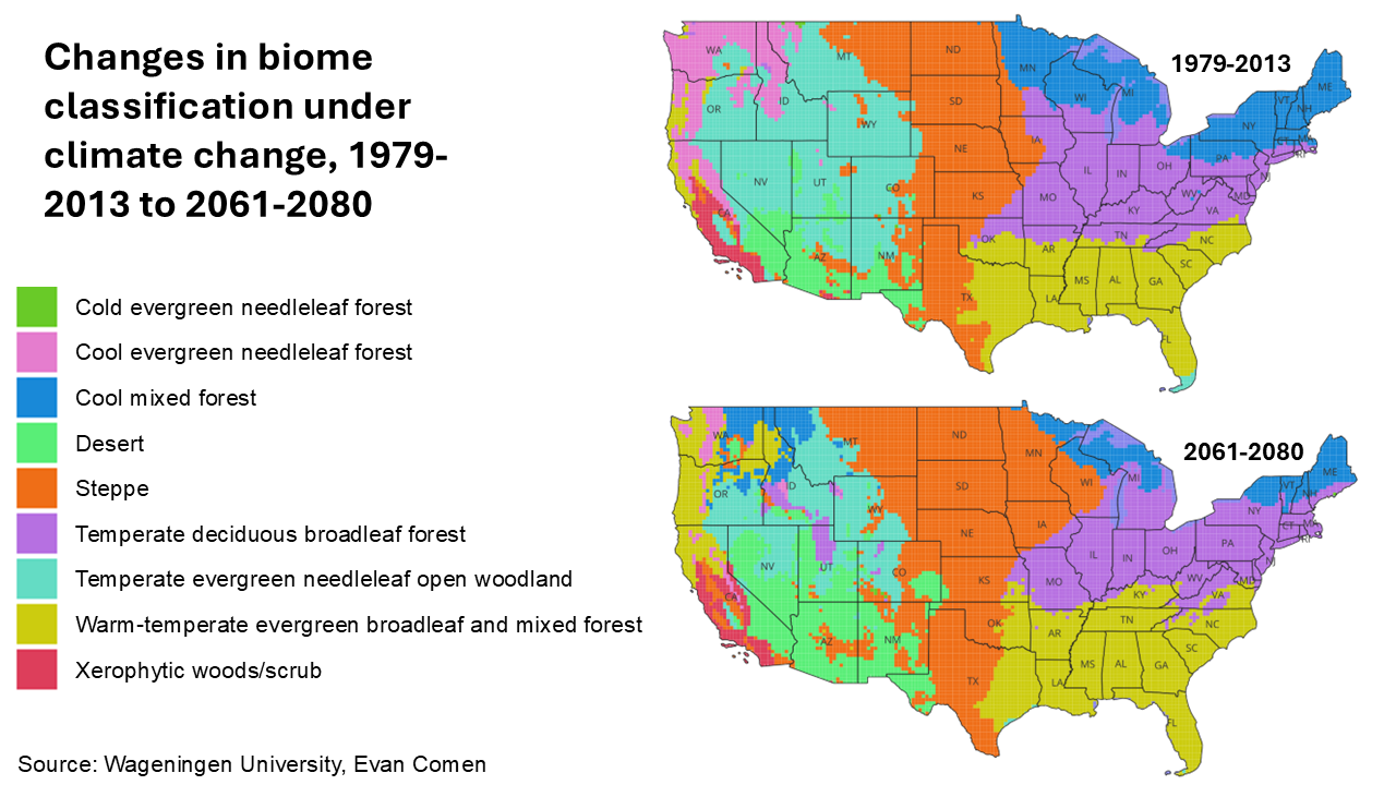 From Forest To Desert, These Are The Cities That Will Look Completely ...