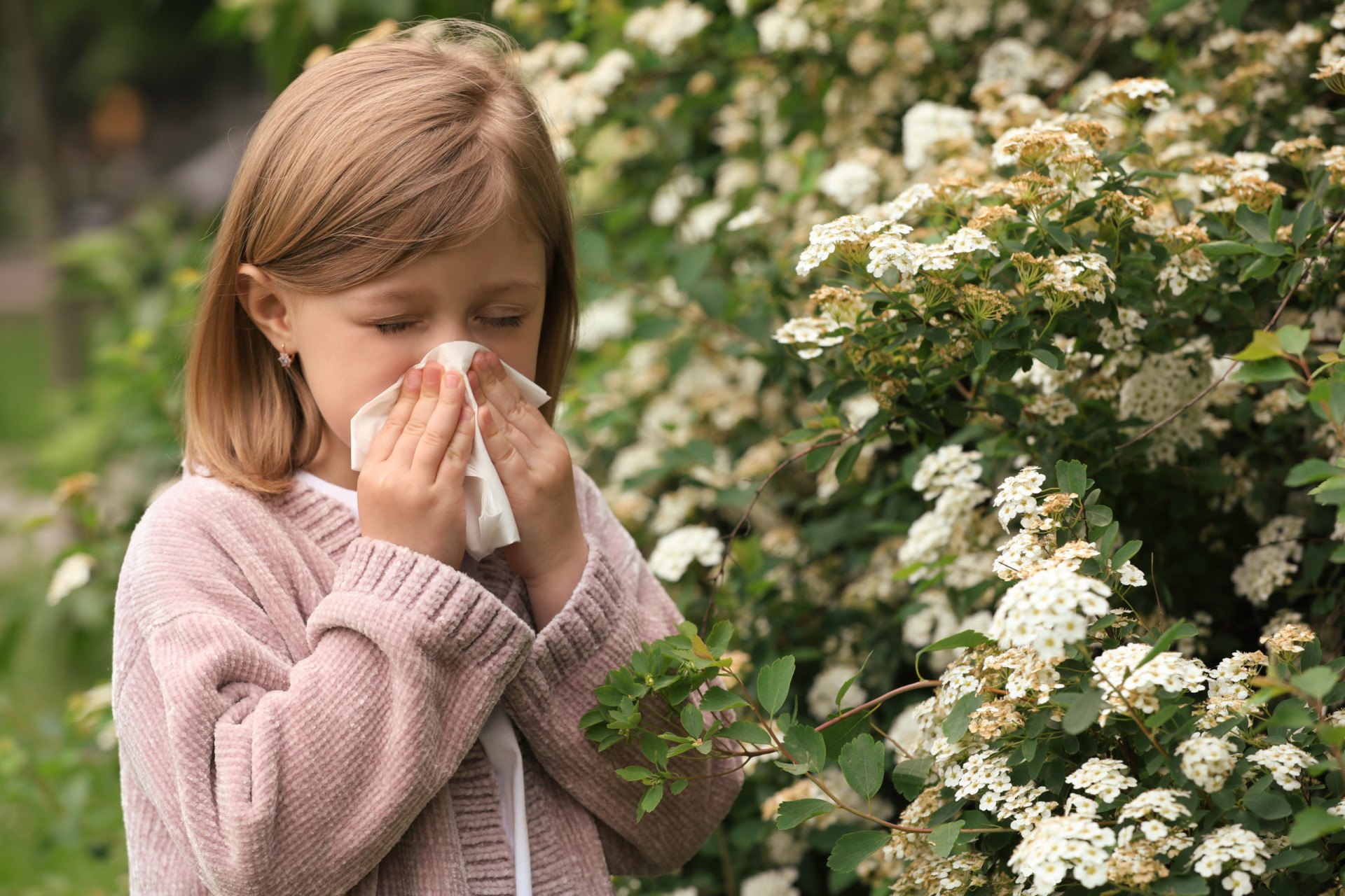 Allergy survival guide: how to enjoy spring without sneezing
