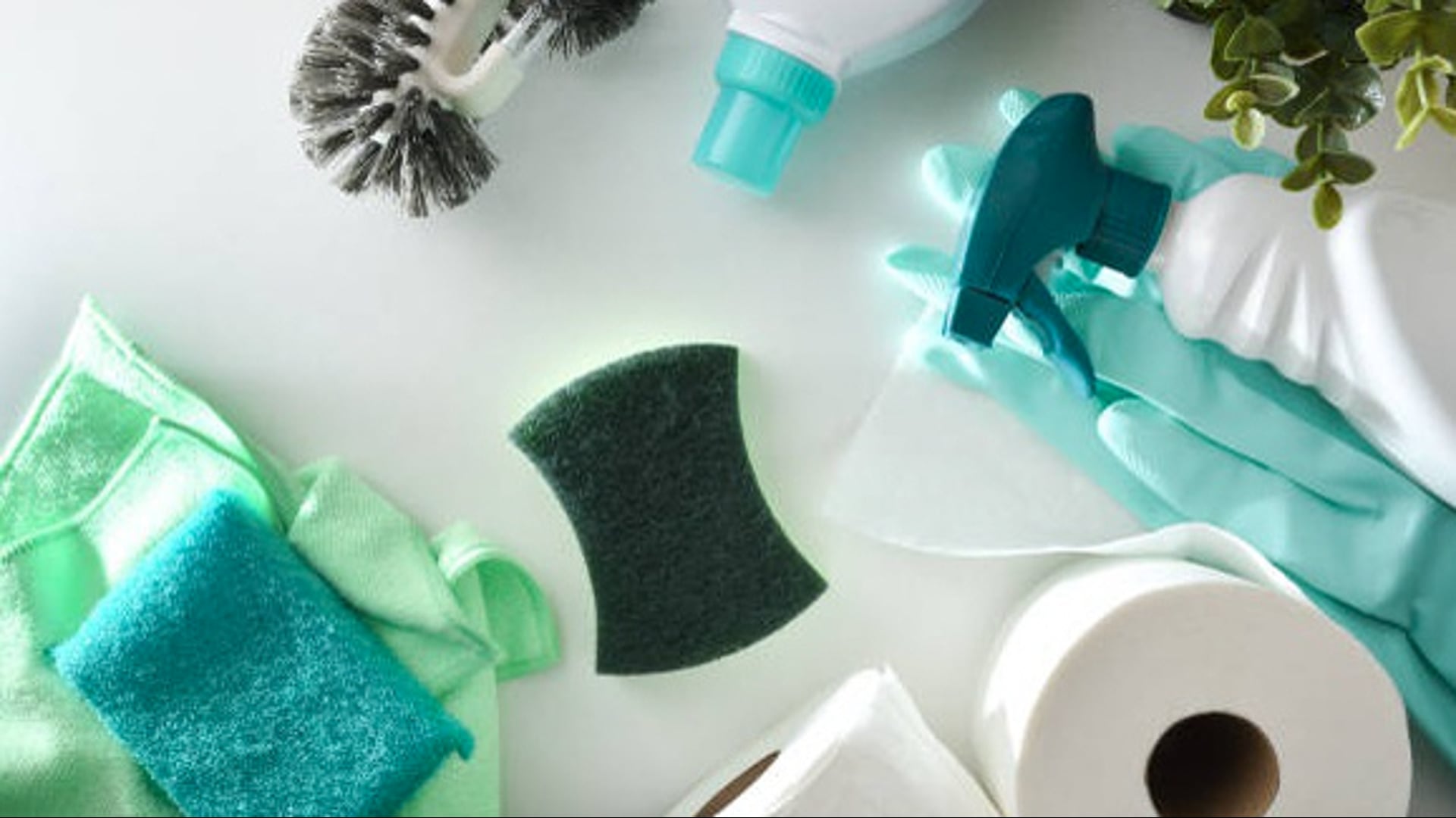 Are You Cleaning Your Toilet Often Enough?