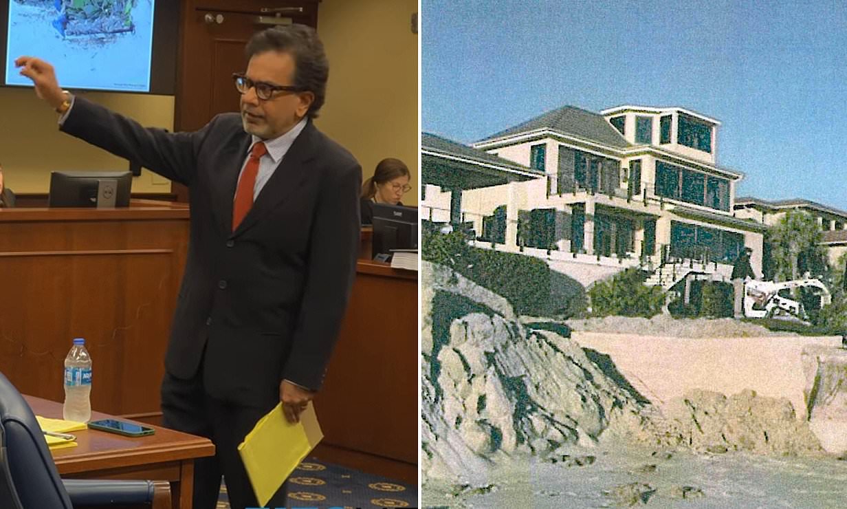Tycoon rants and raves in court over seawall he built outside his ...