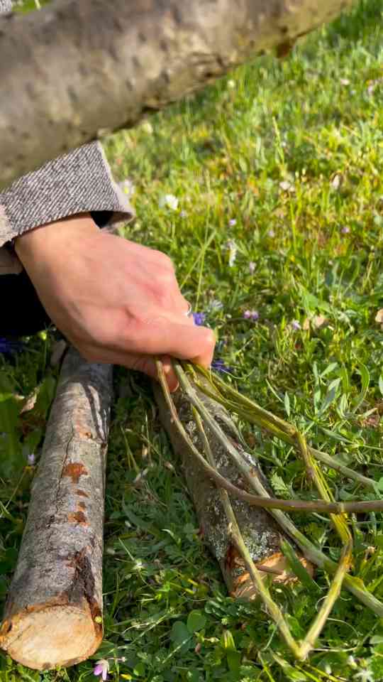 Building a Durable Camp Stool from Natural Materials in the Wilderness