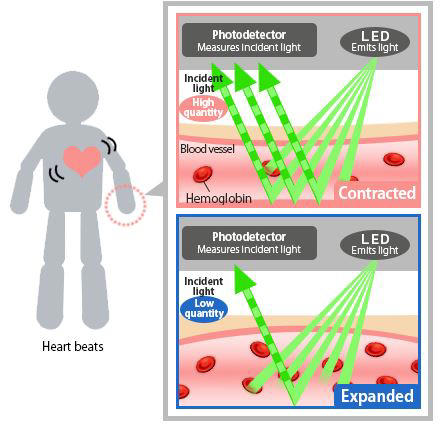 Running With a High Heart Rate: When To Worry