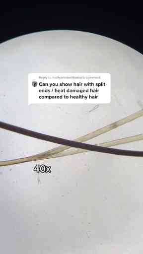 Do You Have Split Ends? | Hair Under the Microscope