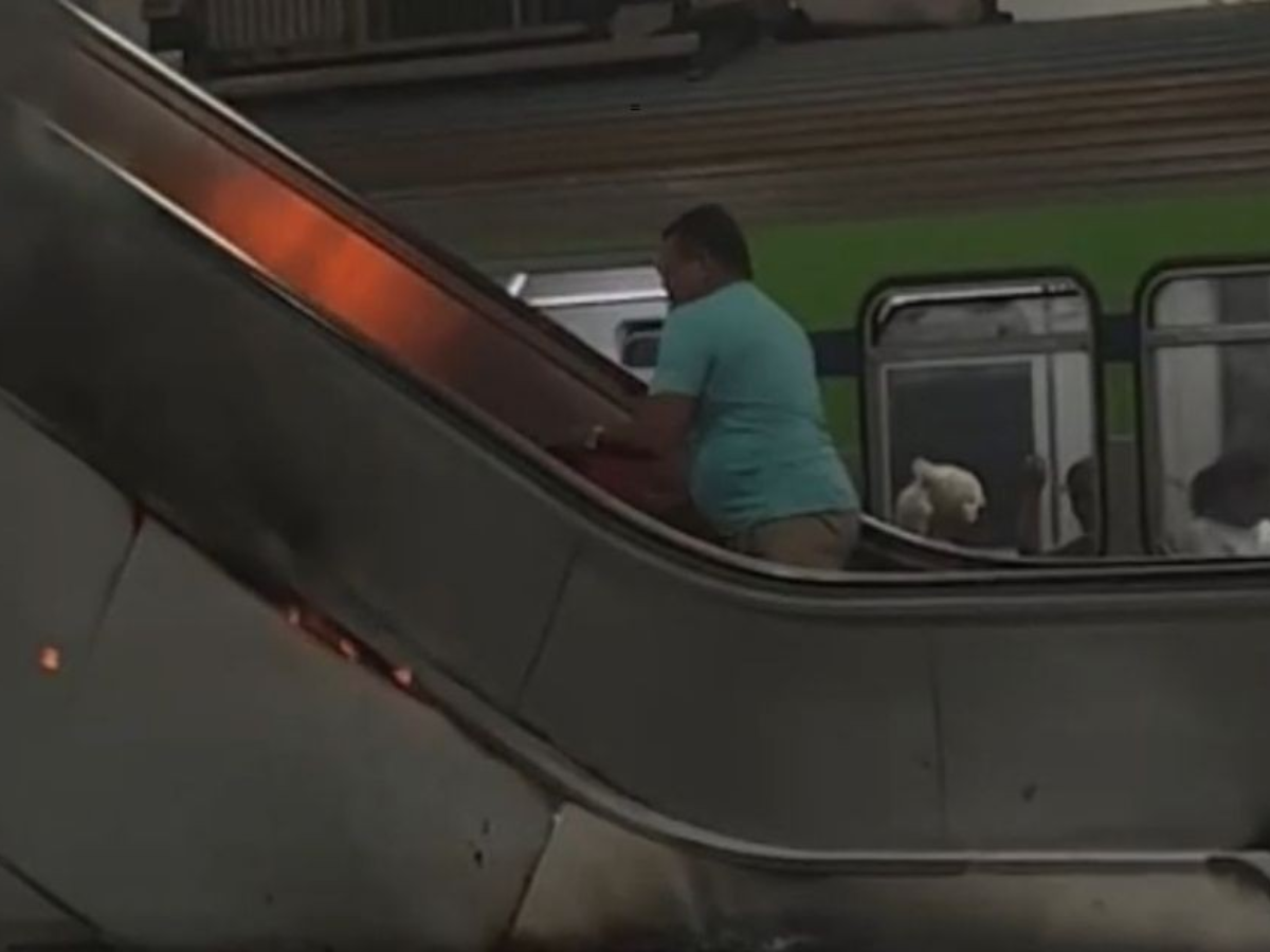 An ancient zombie virus from Siberian permafrost has been resurrected