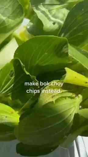 Crispy Bok Choy Chips Recipe | A Healthy & Delicious Snack