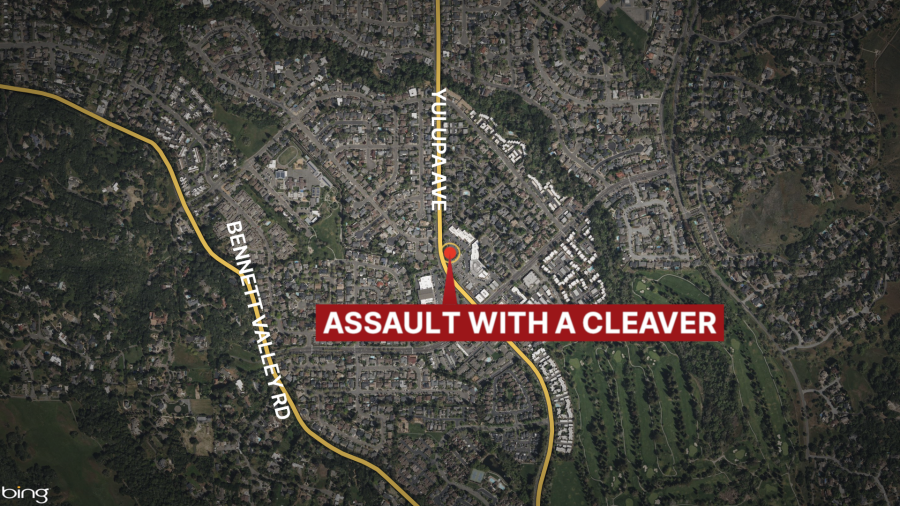 Former restaurant employee faces attempted murder in Santa Rosa cleaver ...
