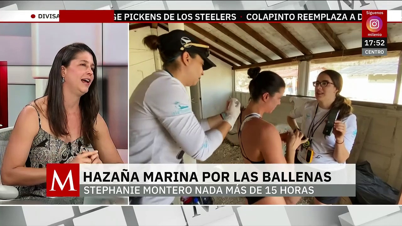 El nado de Stephanie Montero busca generar conciencia sobre ecosistemas ...