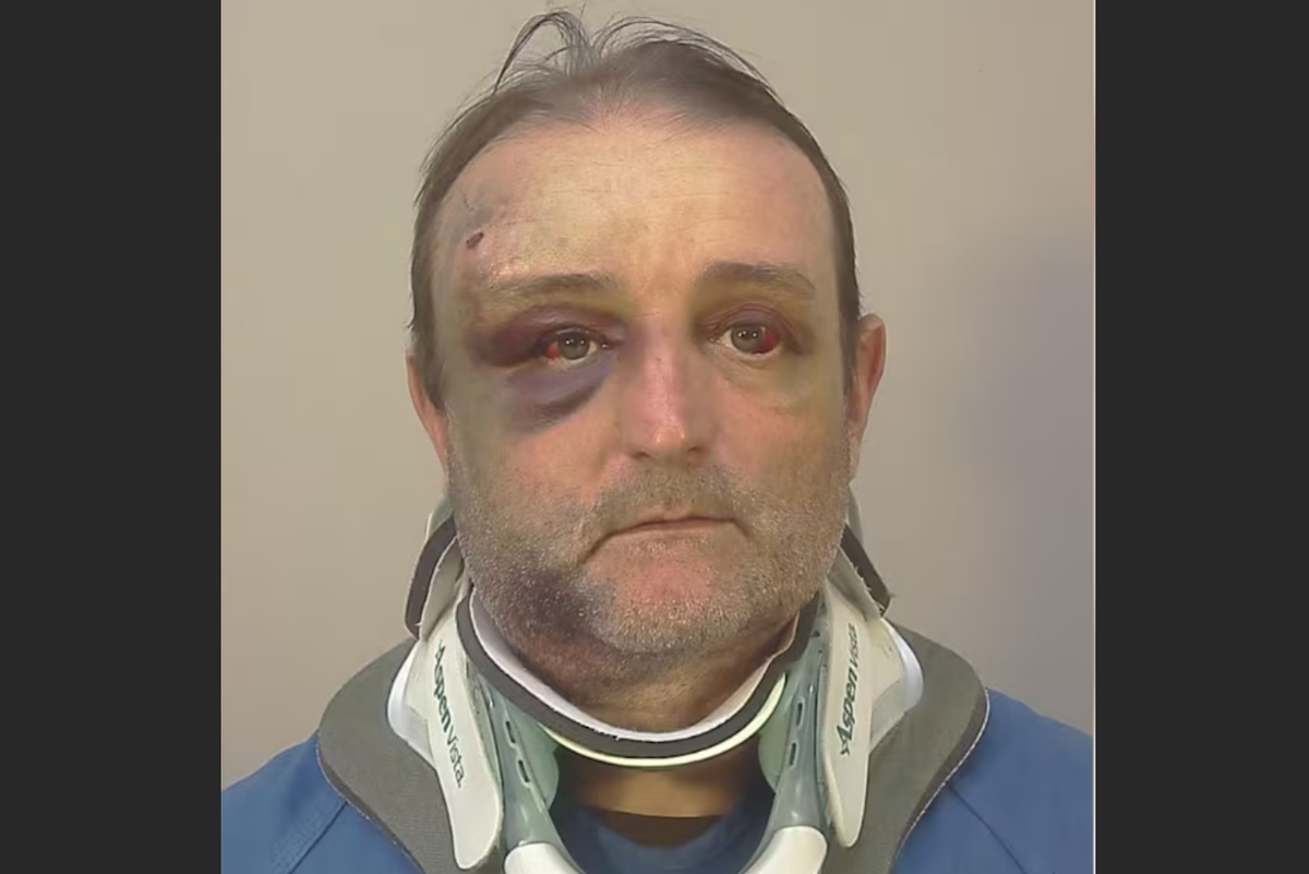 Man intentionally mowed down a mom and her dog while on family walk as ...