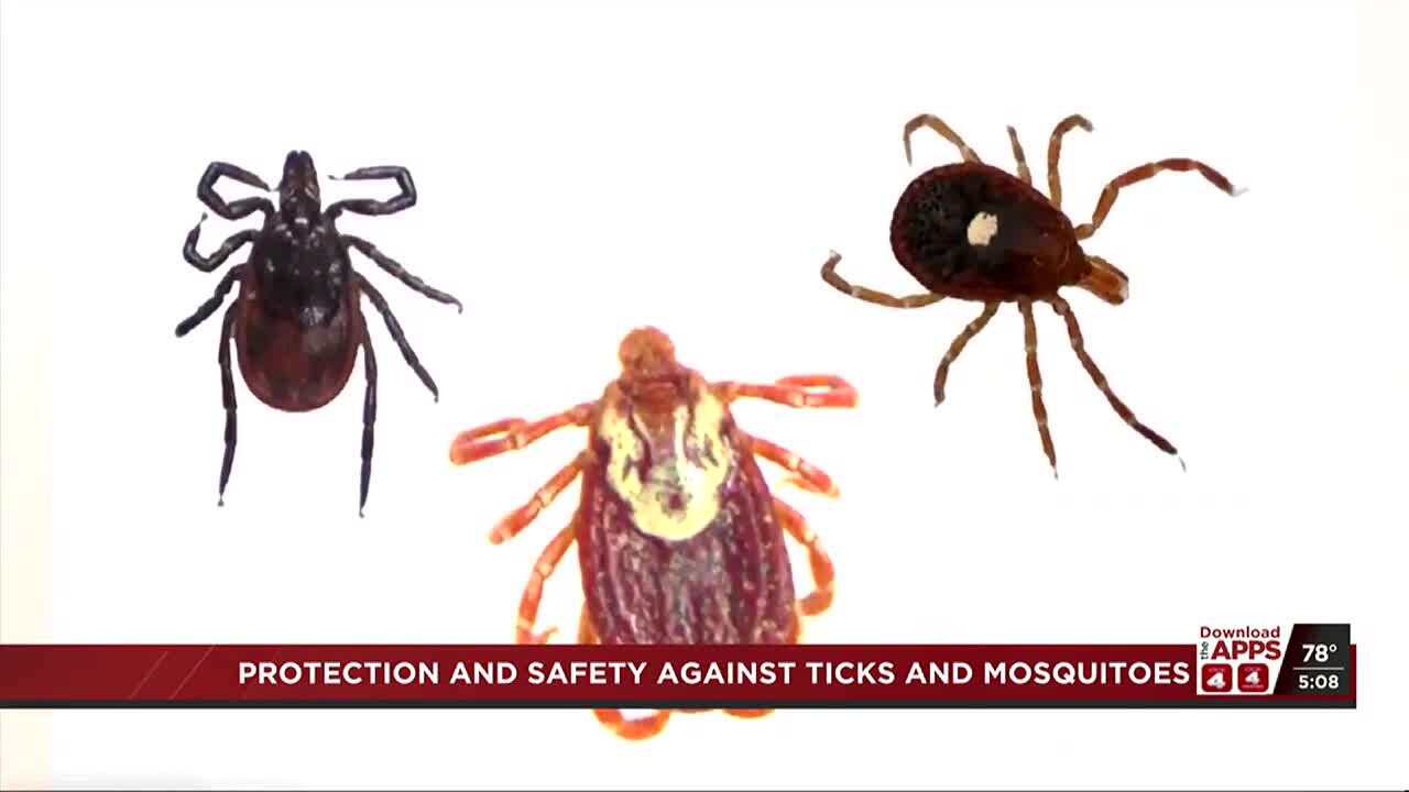 Don’t let the bugs bite: Avoiding tick and mosquito-borne diseases