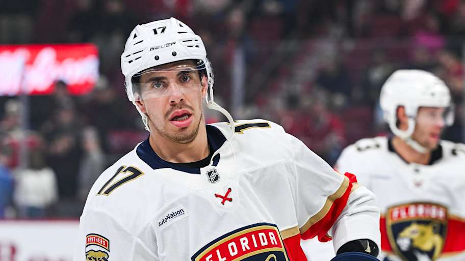 Panthers' Evan Rodrigues Called for Embellishment on Hit That Sent Him ...