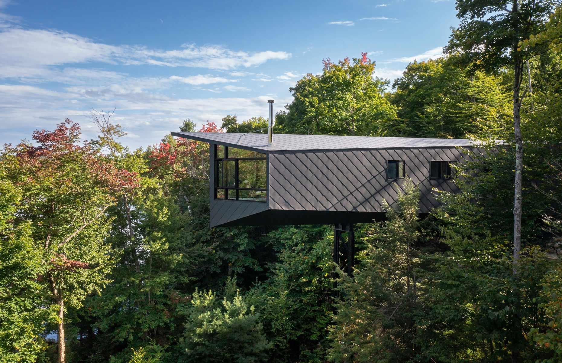 12 extraordinary homes hidden in the treetops