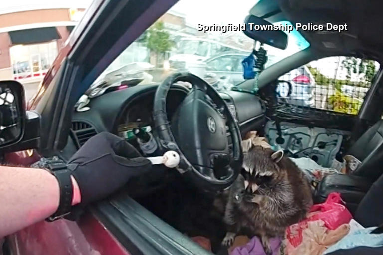 Ohio police find raccoon holding meth pipe during traffic stop