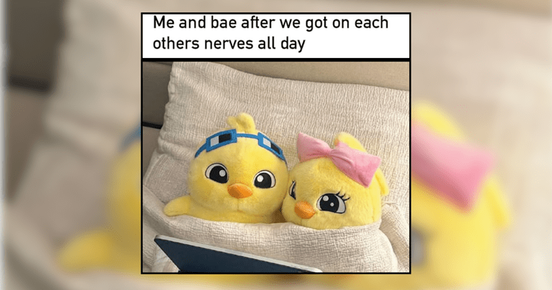 Cozy Introvert Couples Memes for Shy Girlfriends With Devoted Boyfriends