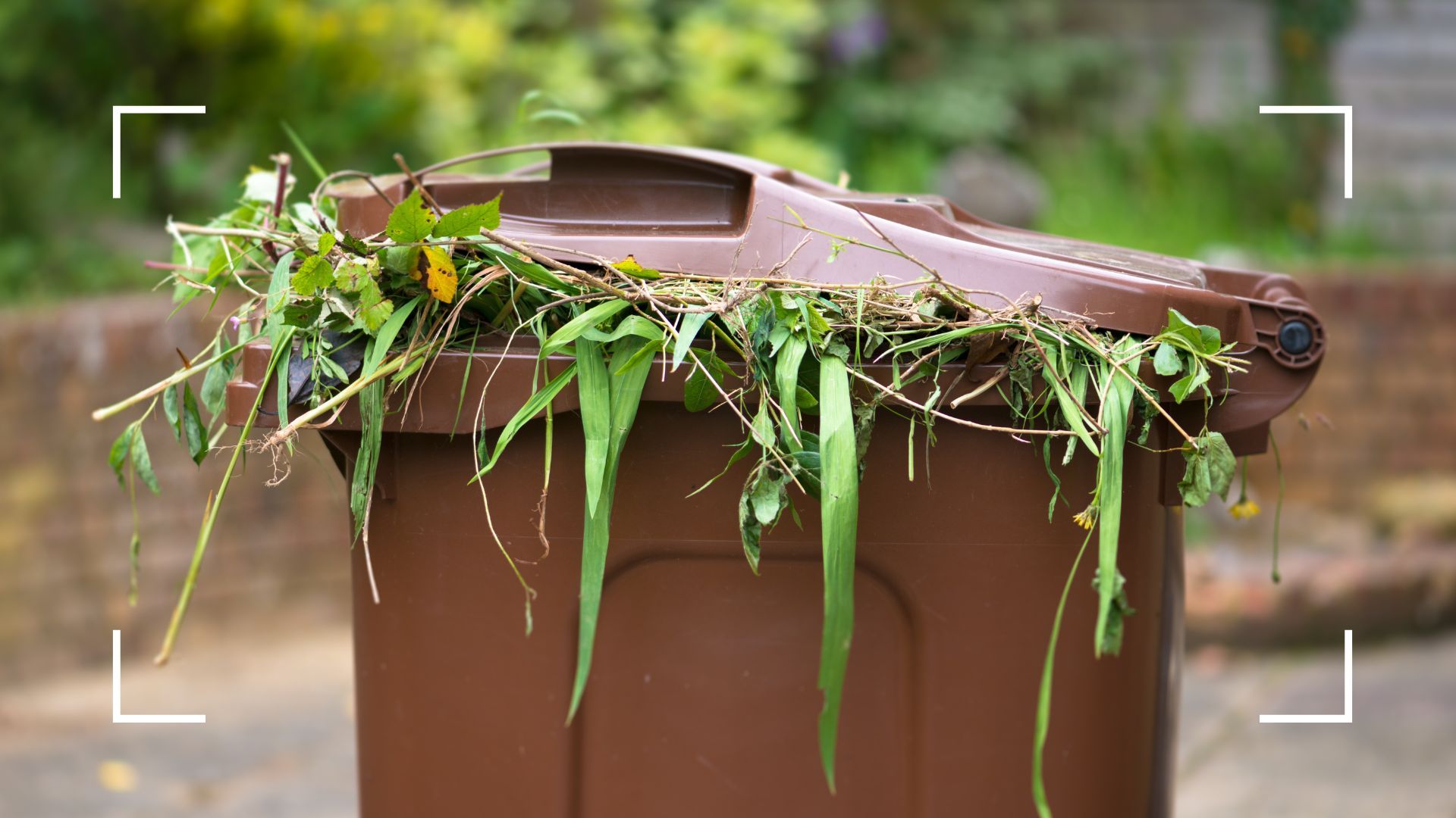 5 things you should never put in your garden waste bin to avoid fines