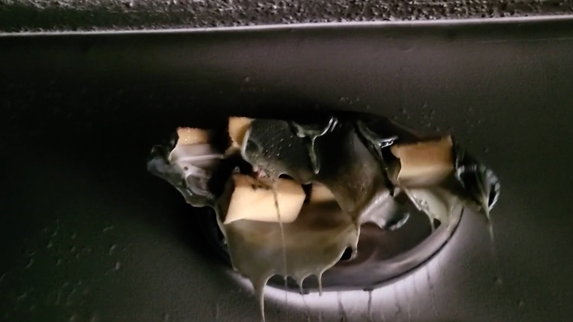 Man finds house fire’s only survivor - a Billy the Bass singing I Will ...