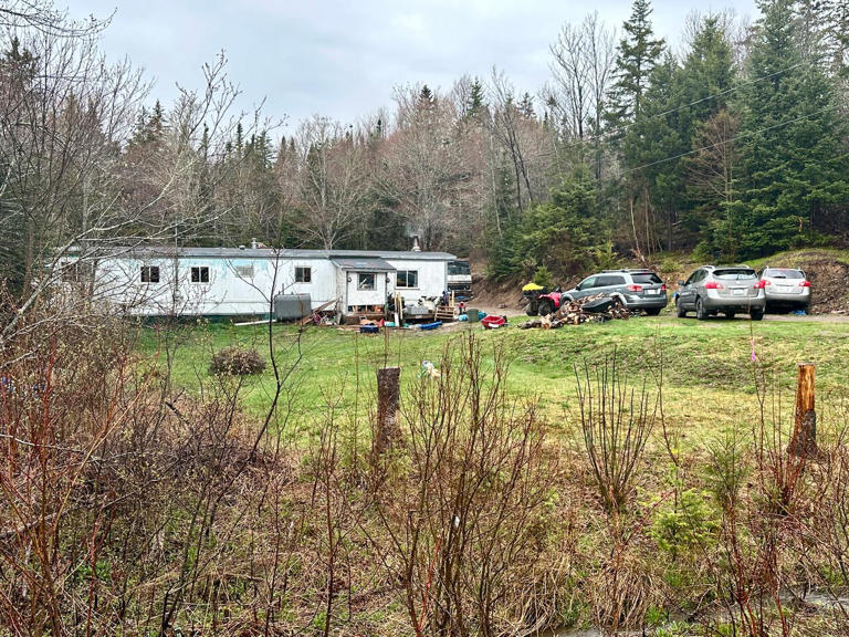 Experts point to anomalies in 'unprecedented' case of missing N.S. children