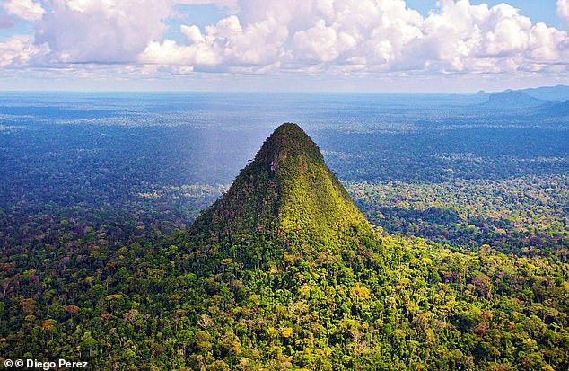 'Sacred' pyramid built by forgotten society in Amazon rainforest may be ...