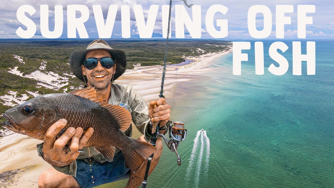 Back 2 Basics Adventures - MSN