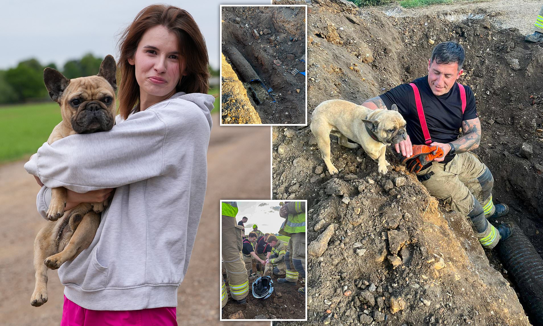 Firefighters and a JCB digger shift five tons of earth to save dog ...