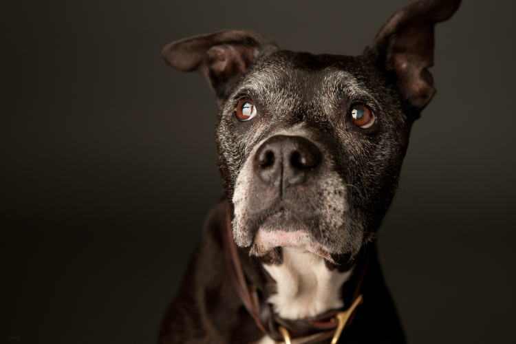 Before It Gets Worse, Watch for These 10 Early Signs of Blindness in ...