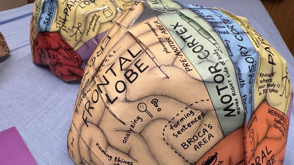 Stroke and snoring: How sleep apnea could increase your chance for a ...