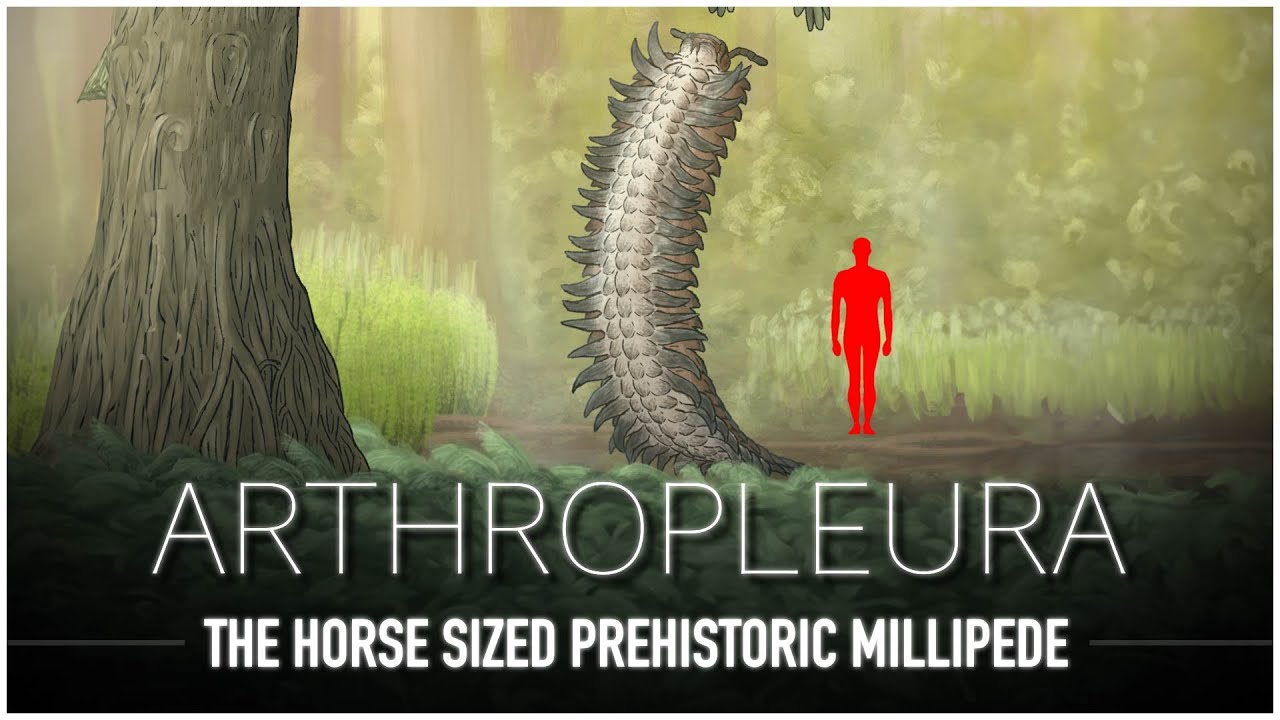 Arthropleura; The Nightmarish GIANT Millipede ¦ Prehistoric Animal ...