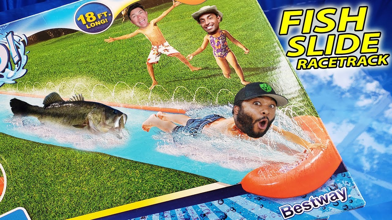 First-Ever Fish Water Slide Race Ends in Chaos (Police Showed Up)