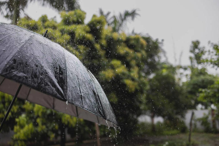 Depois de dias de muito calor, chuva e trovoada regressam este sábado