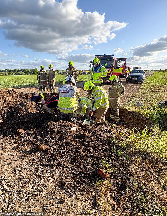 Firefighters and a JCB digger shift five tons of earth to save dog ...