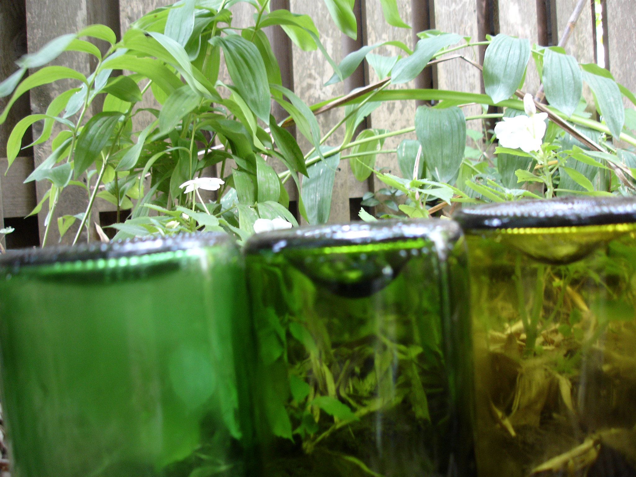 20 Easy DIY Garden Borders to Try