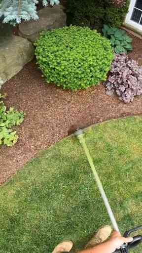 Crispy Edges: The Perfect Lawn Cut Every Time