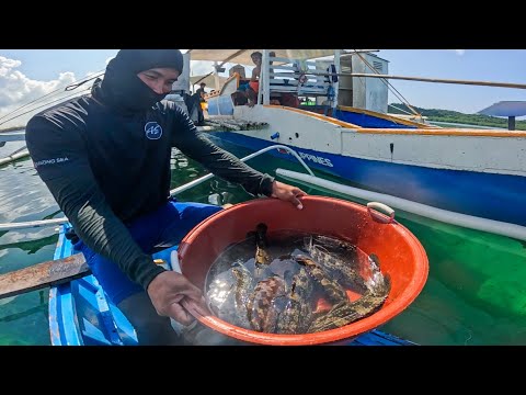 Massive Grouper Catch on Day 2! Boninay’s Team Delivers Again