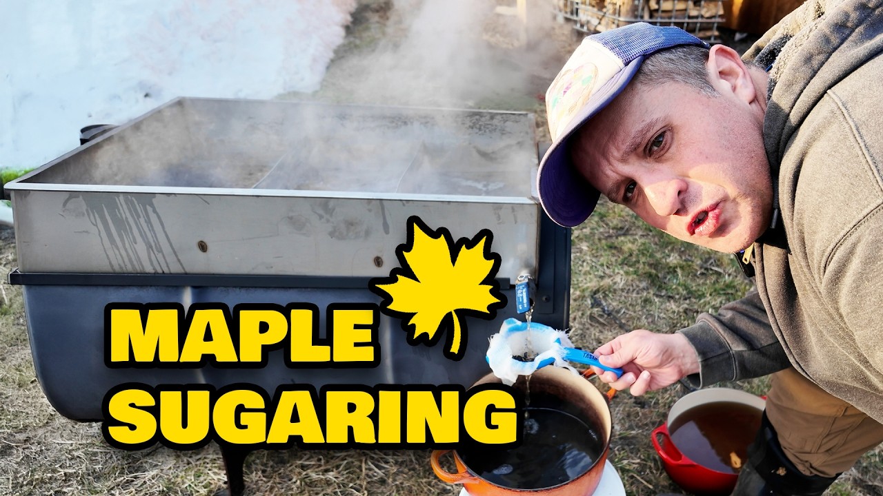 DIYing maple syrup from tree to pancake