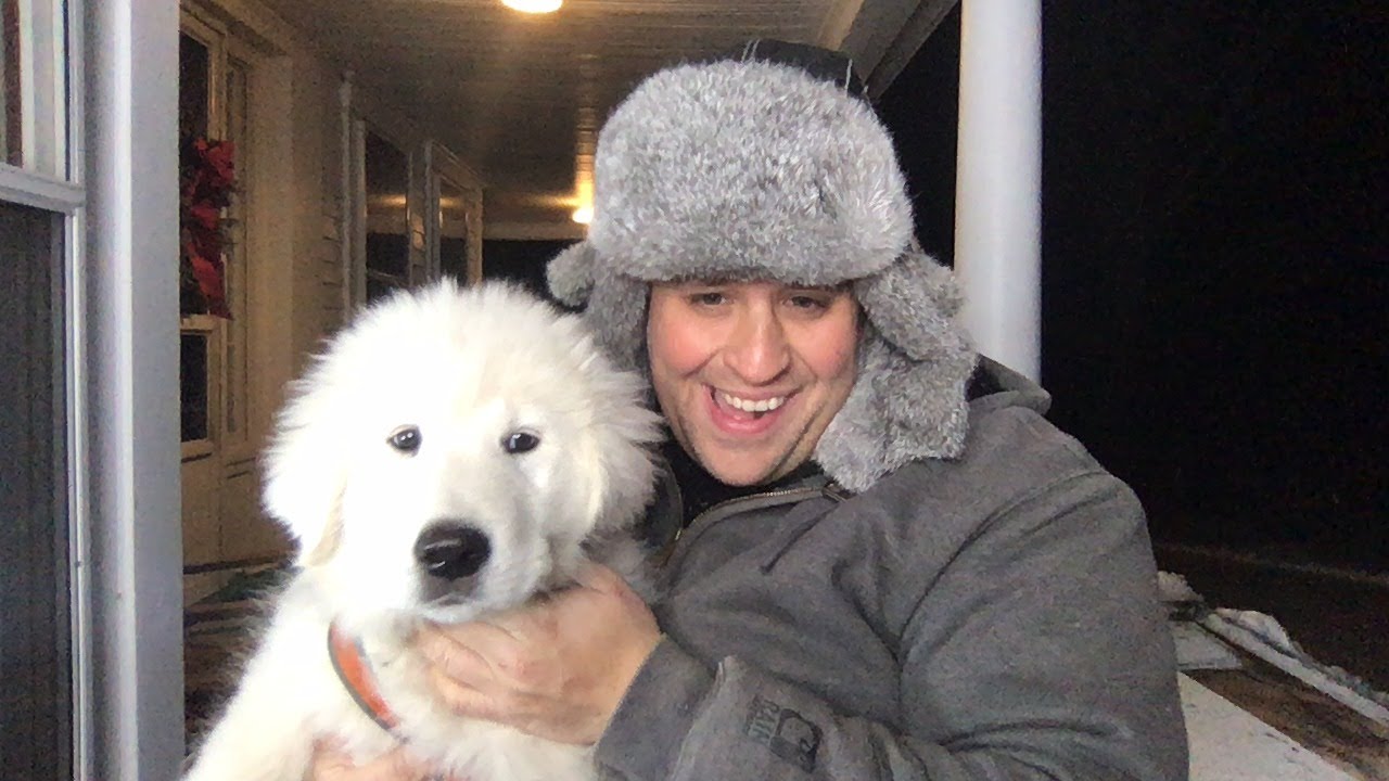 Lessons from Living with a Livestock Guardian Dog