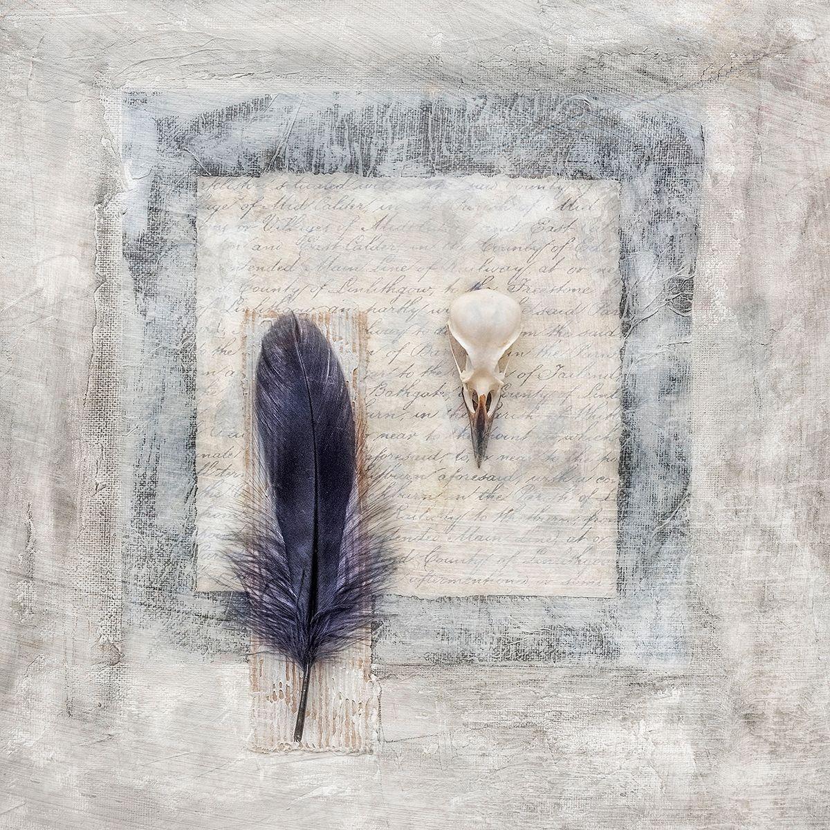 Photographer Stan Farrow shares digital art techniques at local photo ...