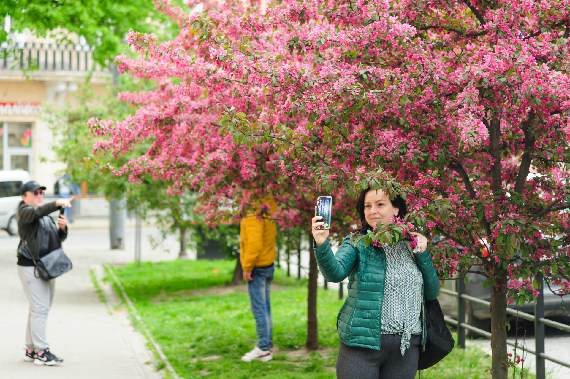 What is 'spring mania,' and what can you do about it?