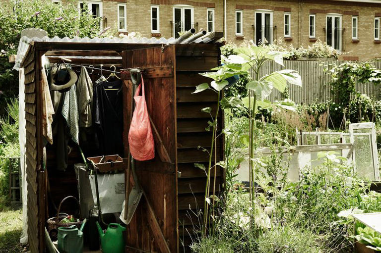 Unusual and effective way to store potatoes and extend shelf life — no ...