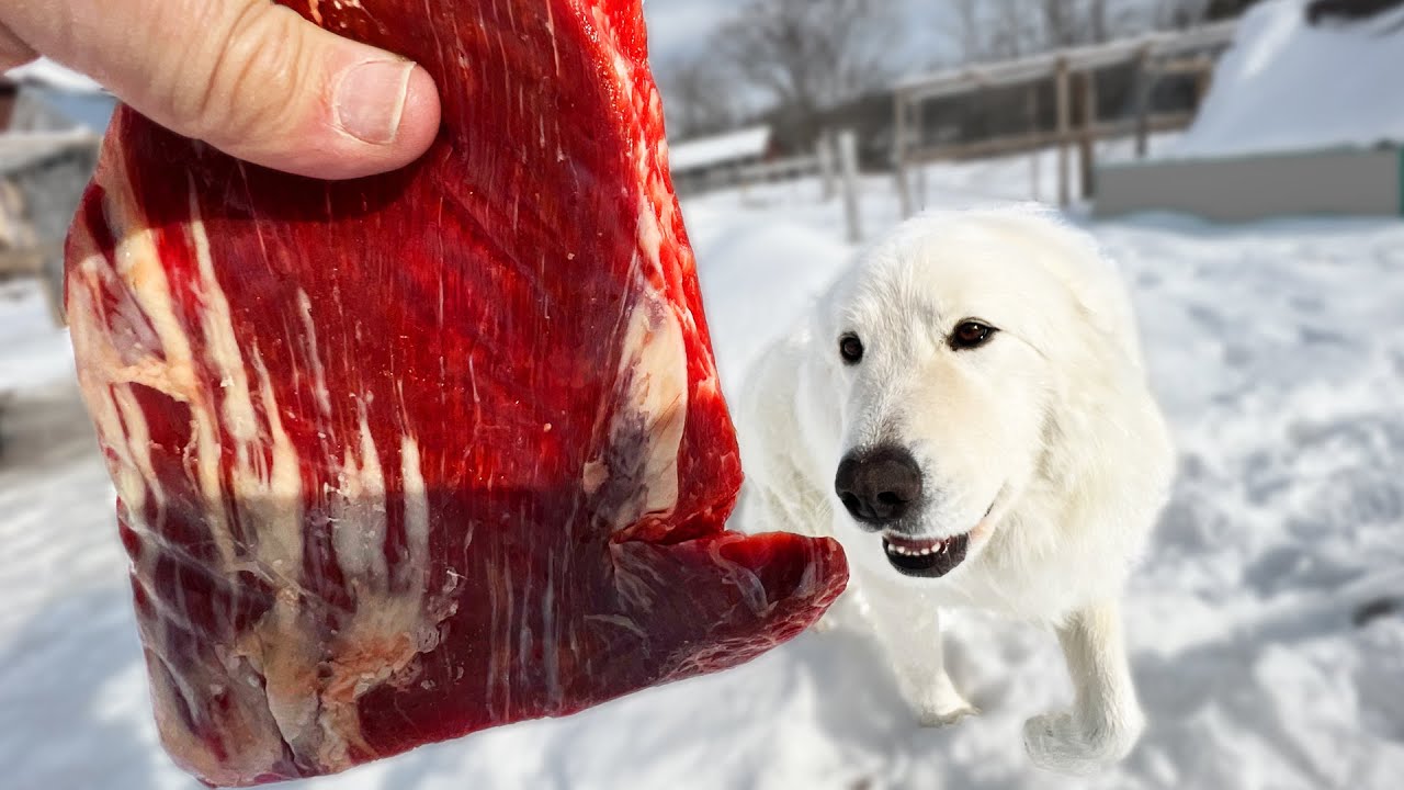Fighting climate change by eating farm-raised meat
