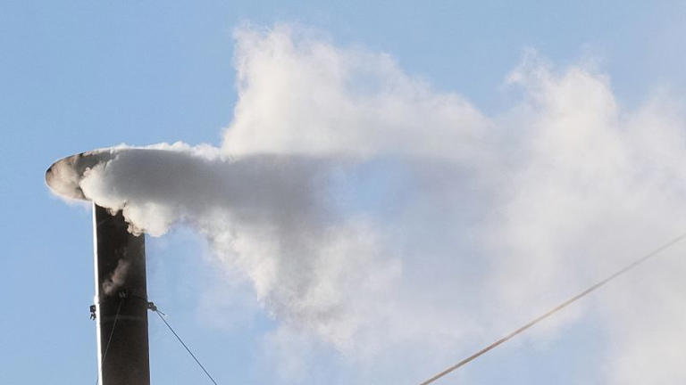 Crowd cheers as white smoke announces new pope at Vatican
